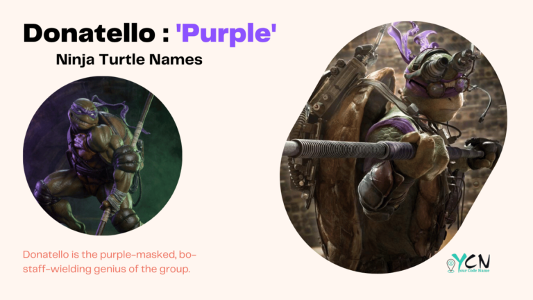 Ninja Turtle Names: A Guide to the Heroes in TMNT - Your Code Name