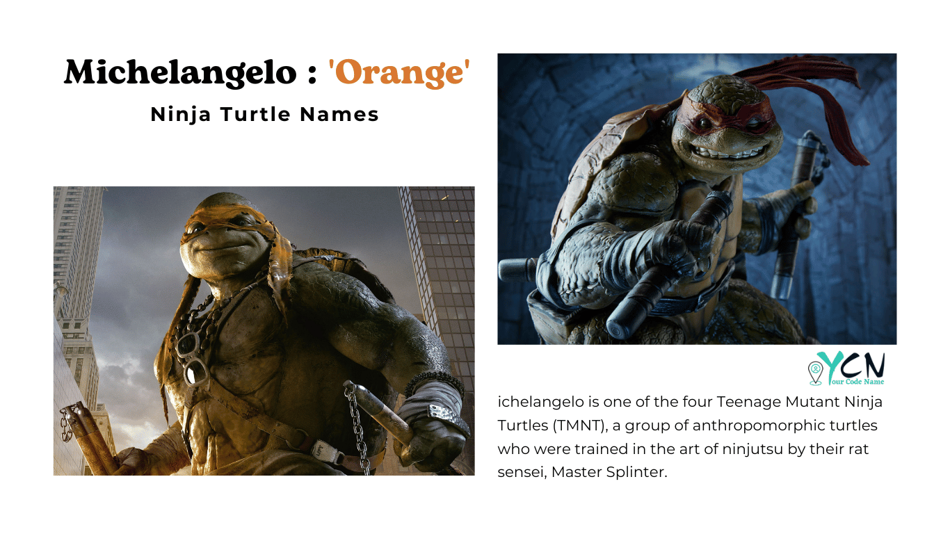 Ninja Turtle Names: A Guide to the Heroes in TMNT - Your Code Name