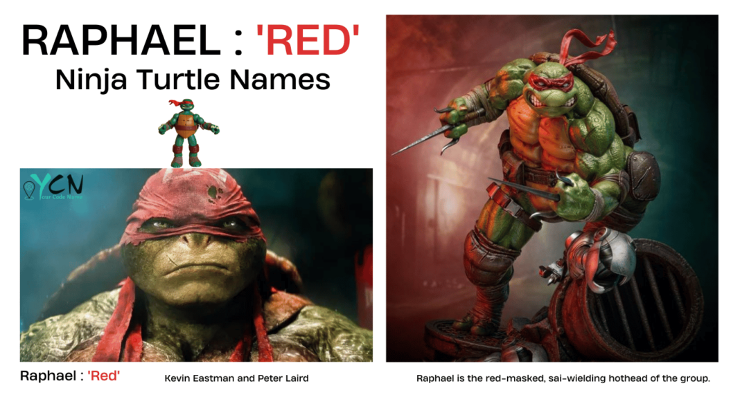 Ninja Turtle Names: A Guide to the Heroes in TMNT - Your Code Name
